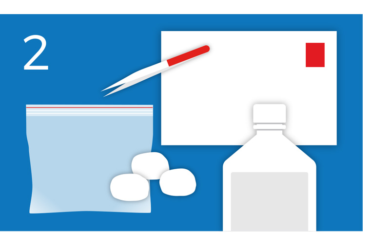 Bird DNA Testing - Feather Collection Kit | DDC